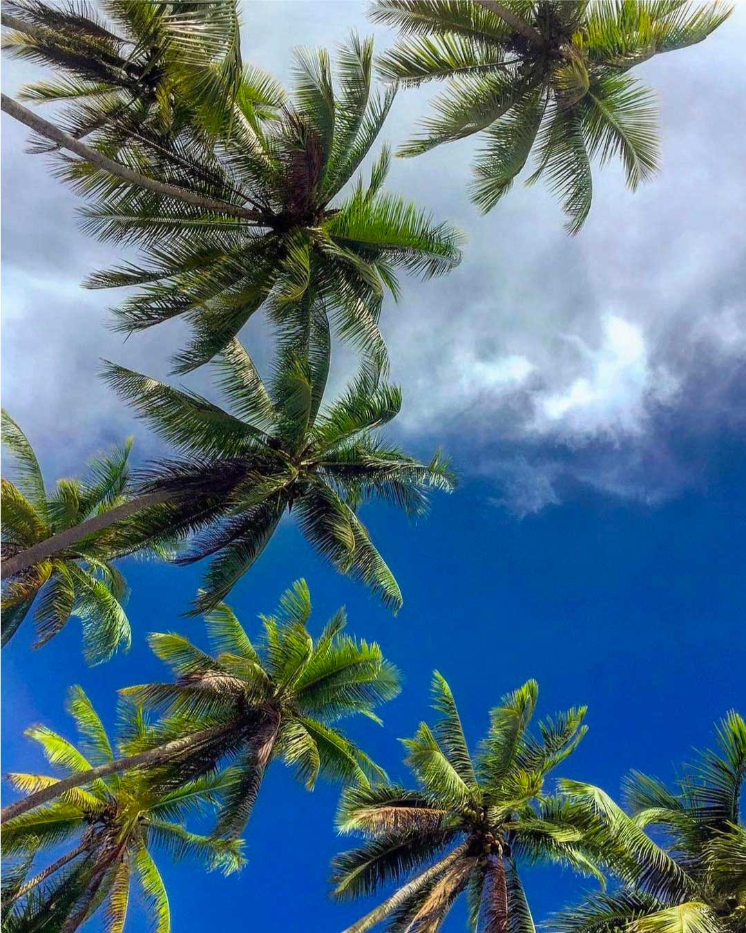 Makanda by the Sea - Luxury Vacations